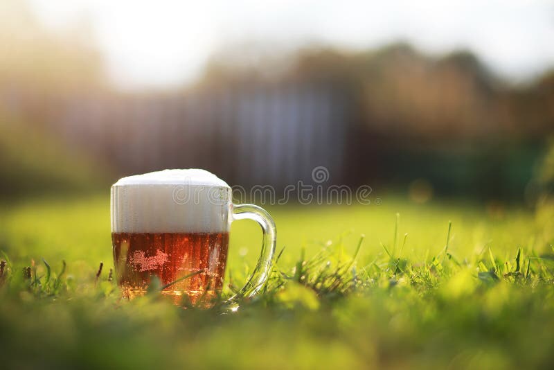 Glass Mug Light Foam Beer. Spring Holiday in Nature Stock Photo - Image ...