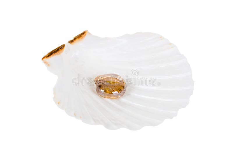 Glass Pearl in Ocean Shell Isolated Stock Photo - Image of open, nature ...