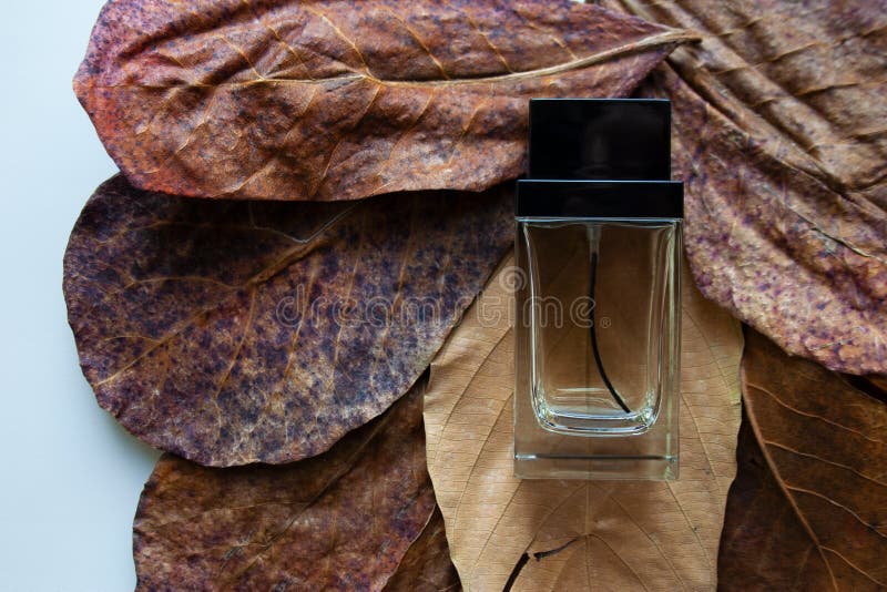 Glass Perfume Bottle on Bronze Dry Leaves from Above Stock Image ...