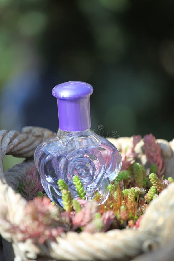 Glass Perfume Bottle Spring Plants Stock Photo - Image of femininity ...