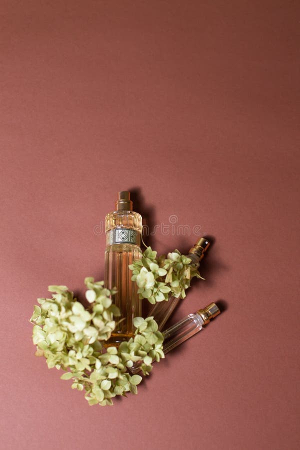 Glass Perfume Bottles with Sprigs of Hydrangea on a Beautiful ...