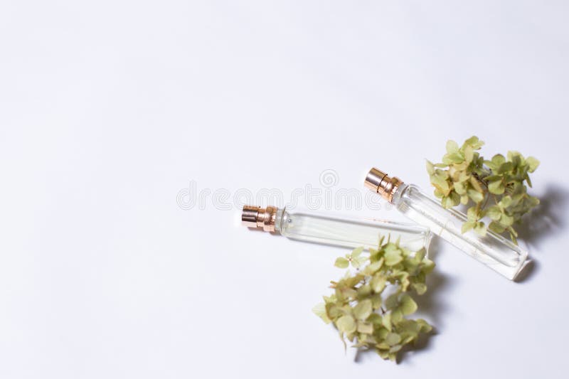 Glass Perfume Bottles with Sprigs of Hydrangea on a Light Background ...