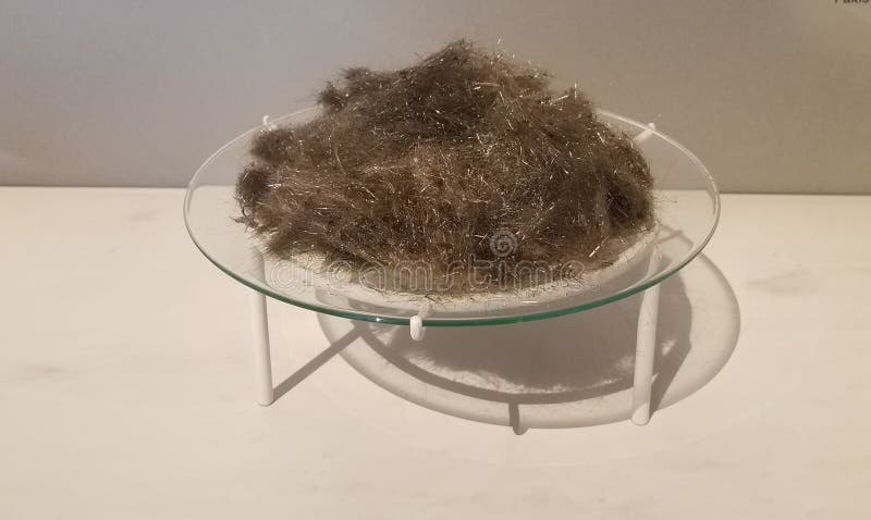 Volcanic lava flow editorial stock photo. Image of outdoor - 1455748