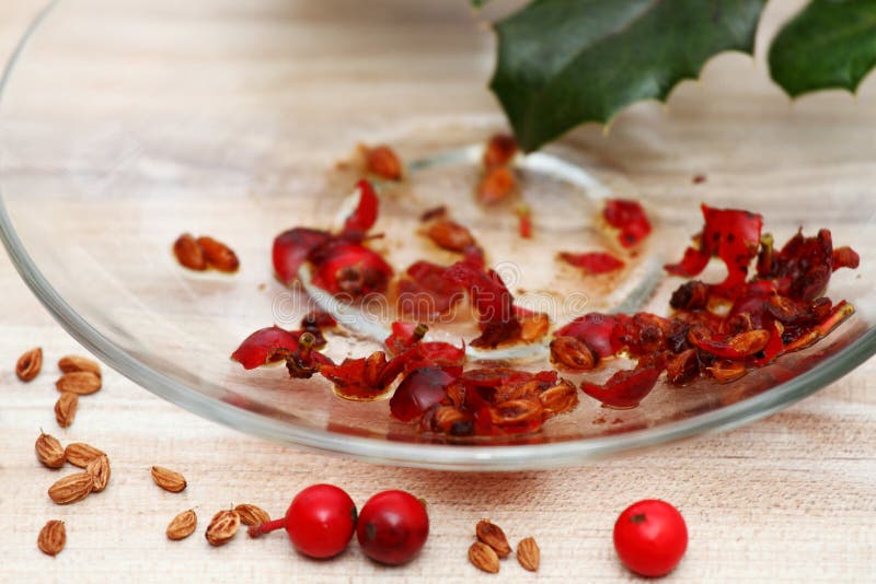 Getting Own Seeds from Berries Stock Image - Image of berries, growth ...