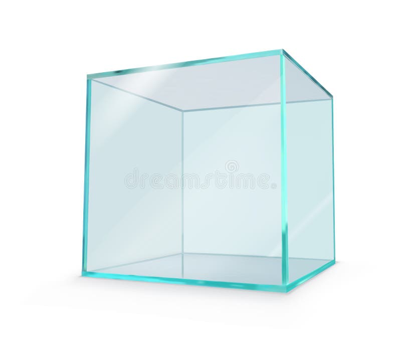 Glass Showcase Cube Bottom View Stock Vector - Illustration of ...