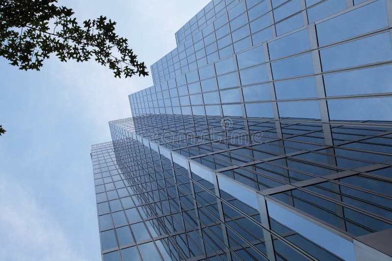 Glass skyscraper with tree stock photo. Image of horizontal - 16109540