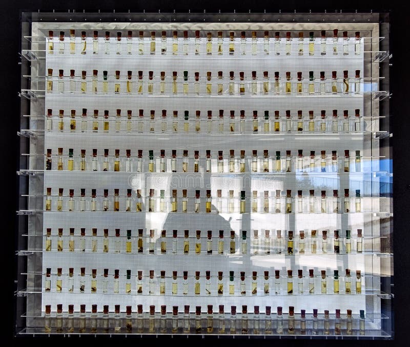 Specimen test tubes stock image. Image of color, closeup - 148061559