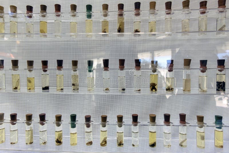 Specimen test tubes stock image. Image of color, texture - 148061687