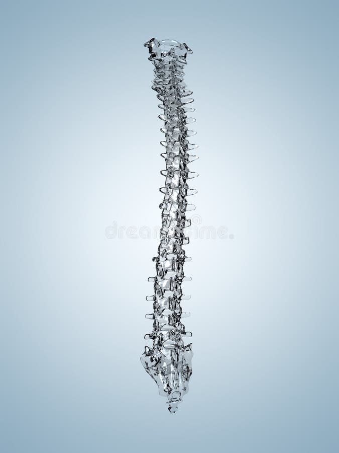 Glass spine stock illustration. Illustration of anatomy - 30727033