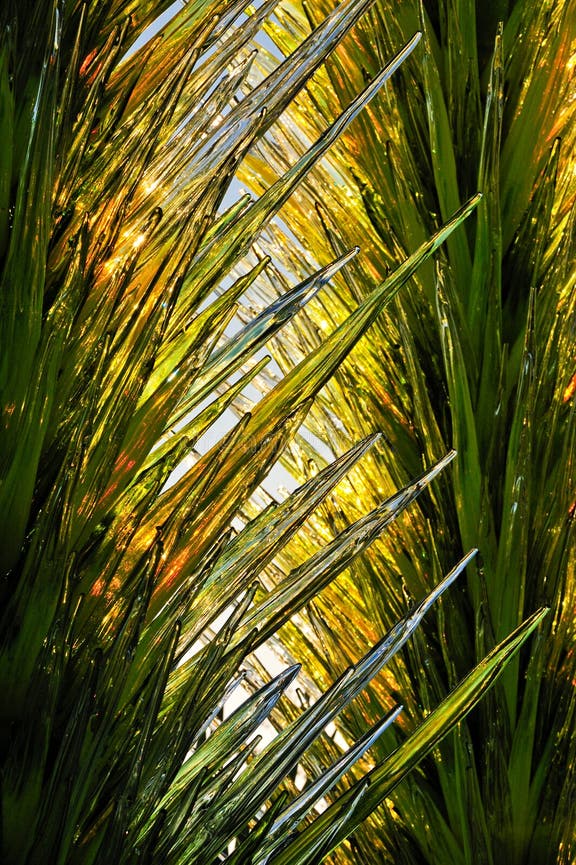 Glass and sunlight stock photo. Image of clear, colors - 8723820