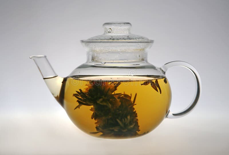 Blooming Green Tea in Glass Teapot Stock Photo - Image of flower, light ...