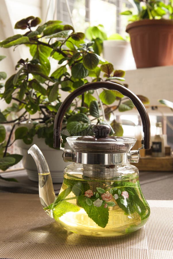 Glass teapot with mint tea stock image. Image of design - 234186049