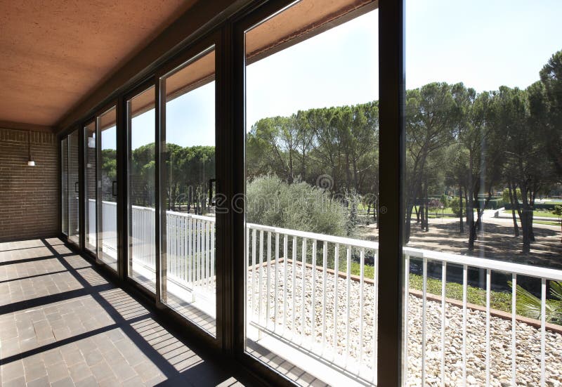Glass Terrace with a Pine Forest View Stock Photo - Image of rise ...