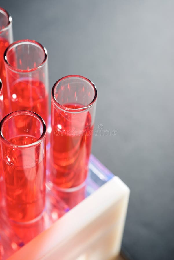 Glass Test Tubes Placed in a Laboratory Rack with Red Liquid Stock ...