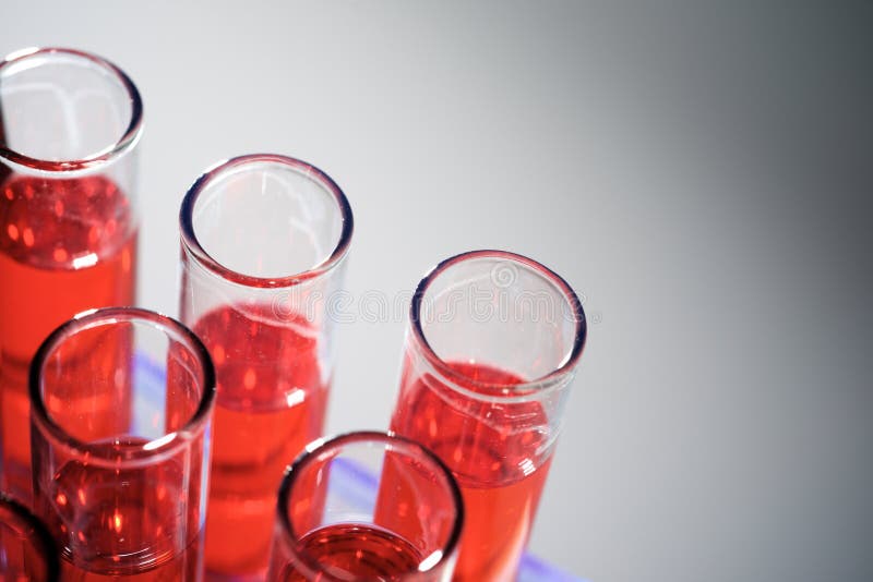 Glass Test Tubes Placed in a Laboratory Rack with Red Liquid Stock ...