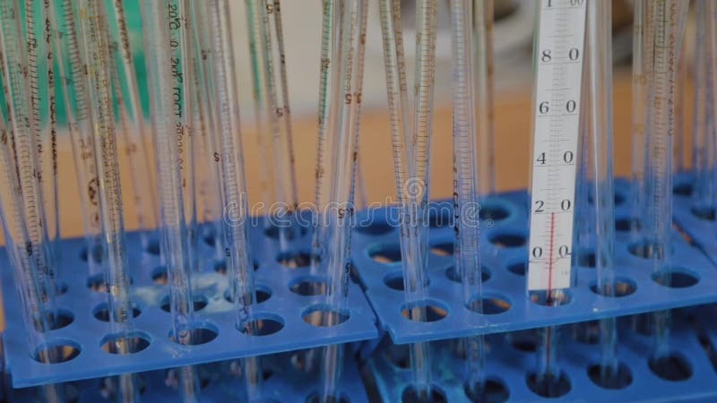 Glass Test Tubes in a Science Laboratory. Stock Video - Video of ...