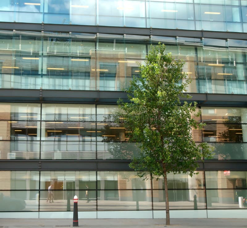 Glass And Tree Picture. Image: 5634017