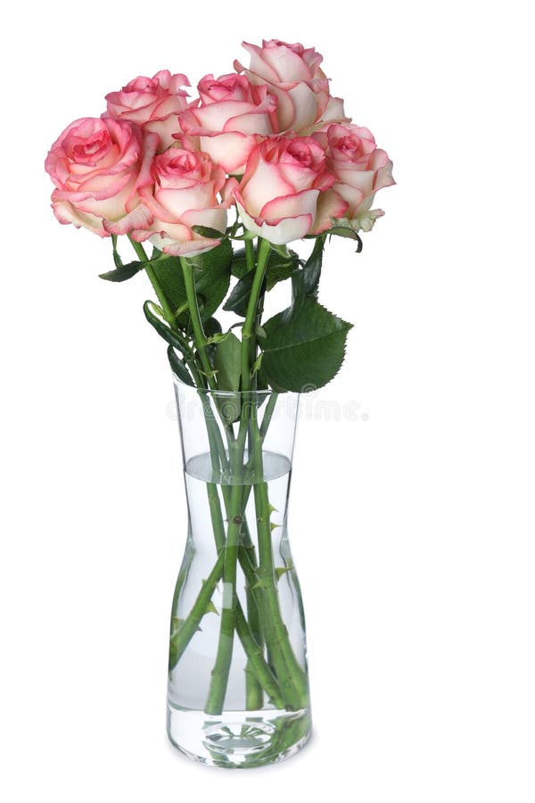 Glass Vase with Beautiful Pink Roses Isolated on White Stock Image ...