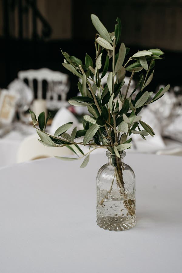 Glass Vase with Olive Branches on Table. Stock Image - Image of interior, reception: 348082803