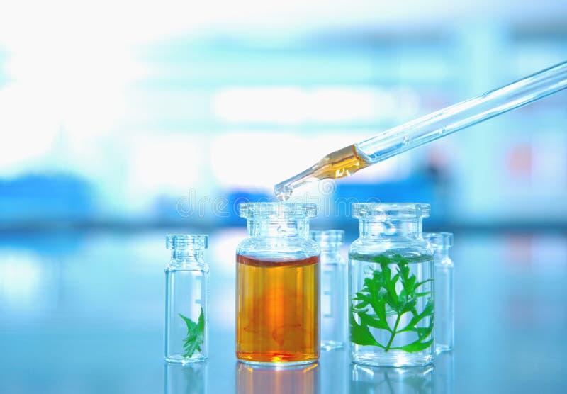 Glass Vial with Green Leaf with Orange Solution Drop in the Lab Stock ...