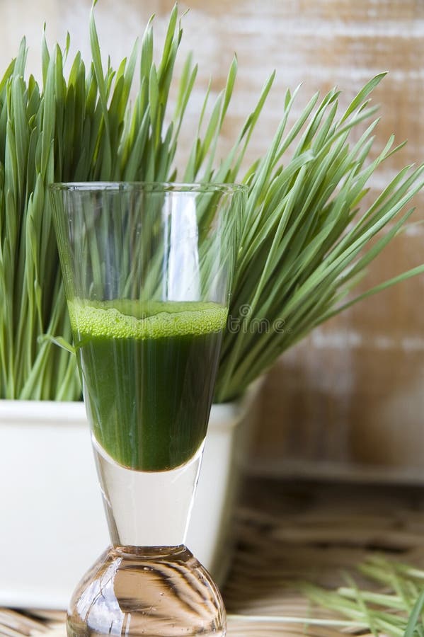 Fresh Wheatgrass with Wheatgrass Juice Stock Image - Image of style ...
