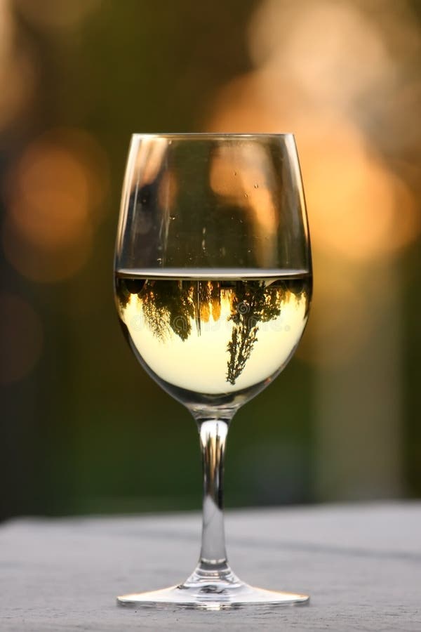 A glass of white wine stock image. Image of wine, color - 10057947