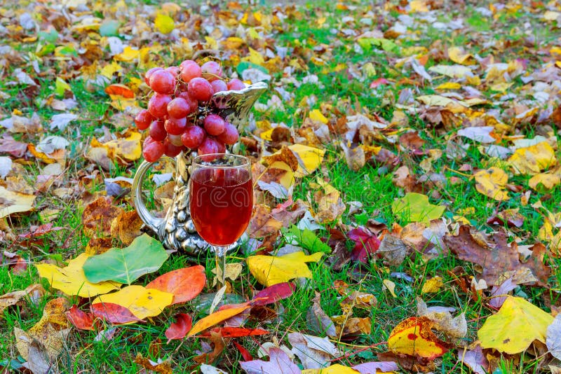 Glass of White Wine and Autumn Leaves Against Stock Image - Image of ...