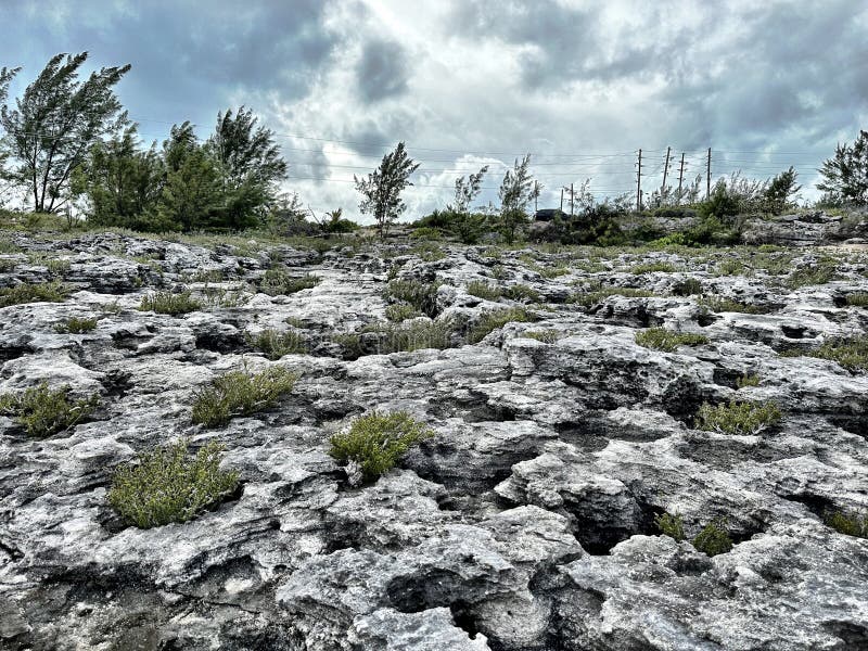 Glass Window Bridge Eleuthera Bahamas Stock Photos - Free & Royalty ...