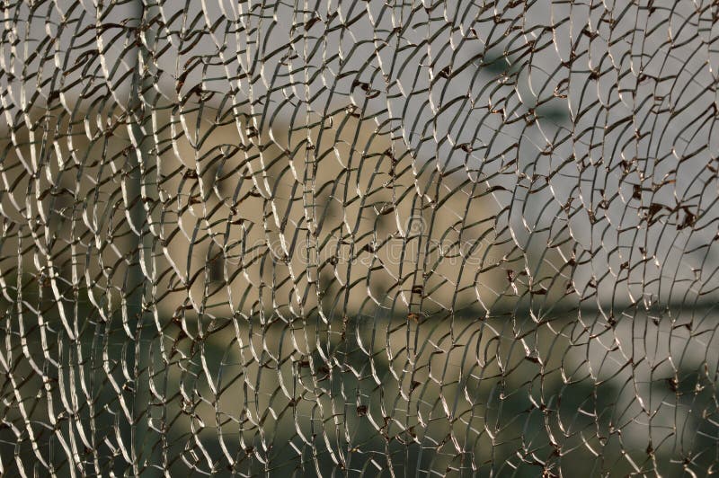 Glass window broken stock photo. Image of looks, spiderweb - 241997738