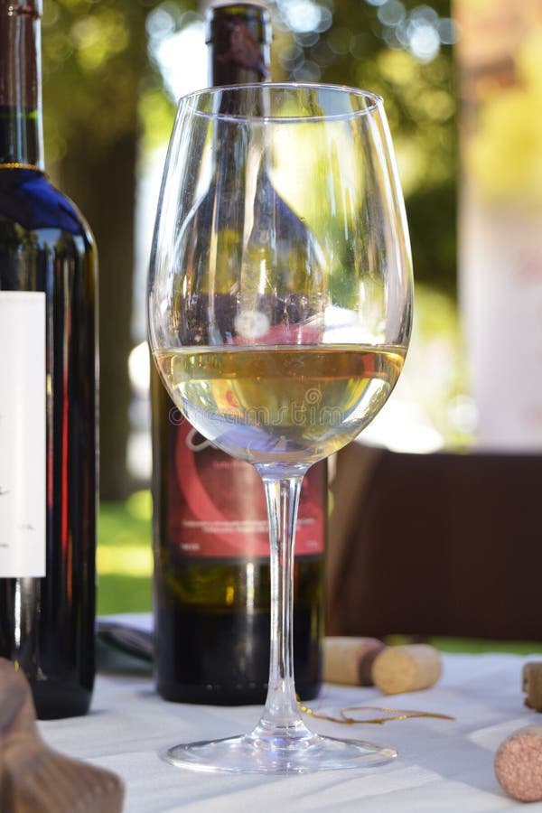 Glass with wine stock photo. Image of white, liquid, riesling - 52063204