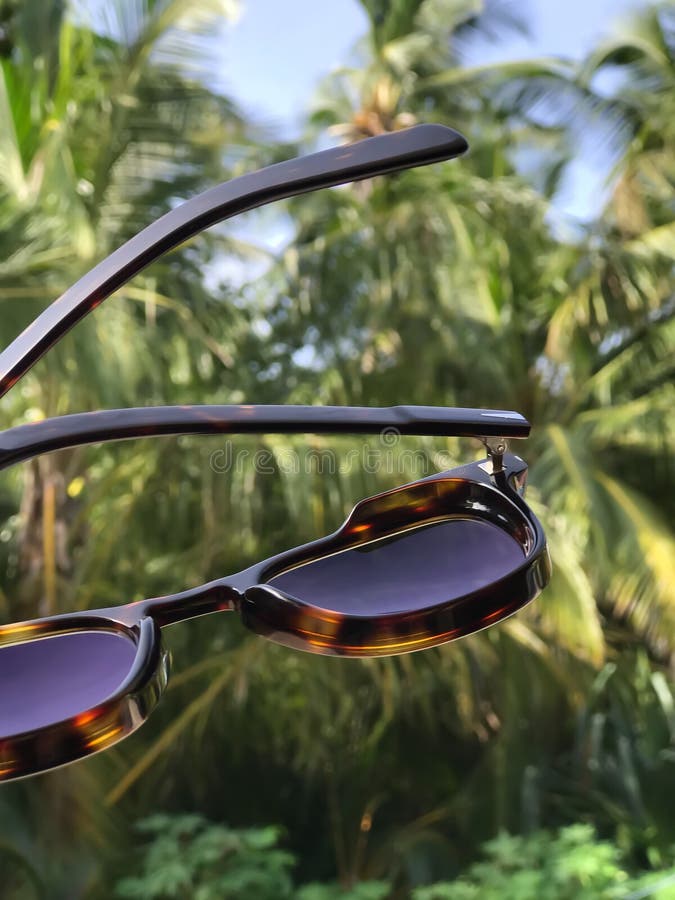 Glasses in Hand Overlooking a Palm Tree Stock Image - Image of ...