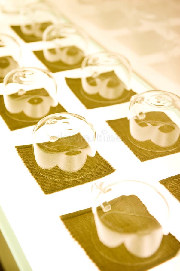 Glasses in rows stock photo. Image of clean, hotel, dining - 14586840