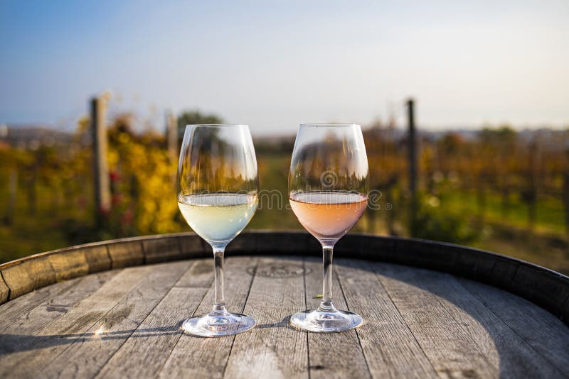 Glasses of Wine on a Barrel in Autumn Stock Image - Image of barrel ...