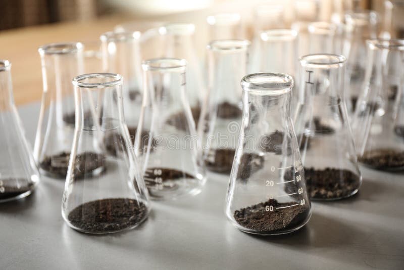 Glassware with Soil Samples and Extract on Table. Laboratory Research ...