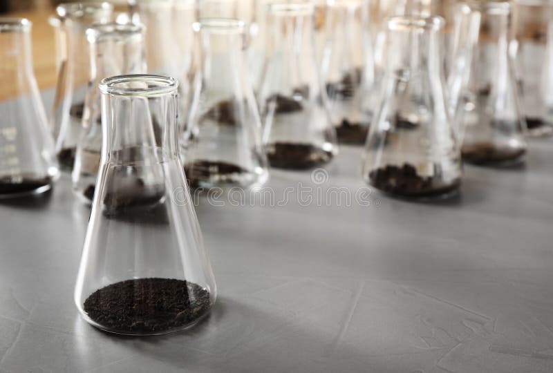 Glassware with Soil Samples on Grey Table Stock Image - Image of ...