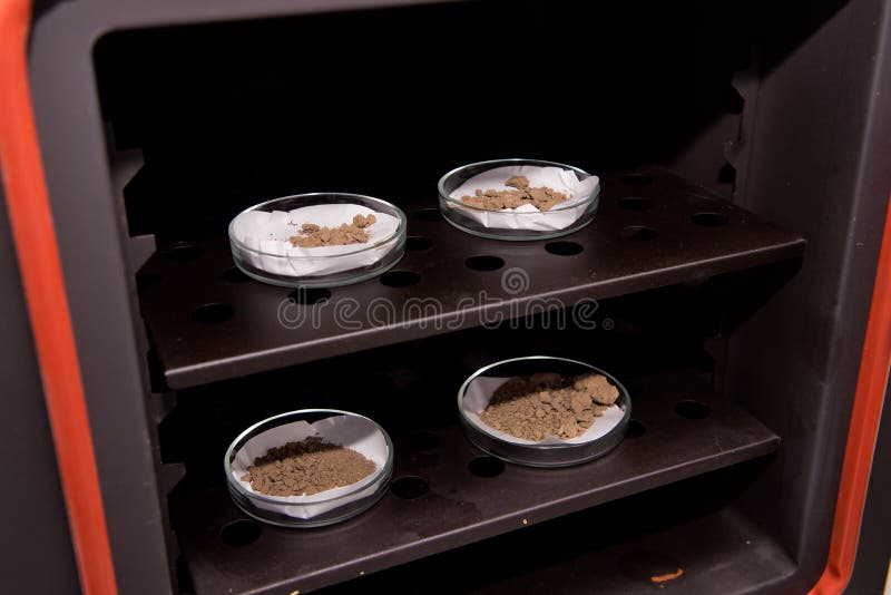 Glassware with Soil Samples on Grey Table Stock Image - Image of ...