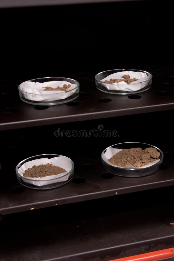 Glassware with Soil Samples. Laboratory Research Stock Image - Image of ...