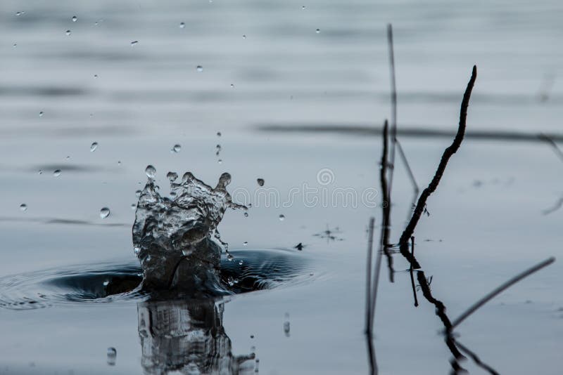 Glassy water drop 16 stock photo. Image of blue, ripple - 162707270