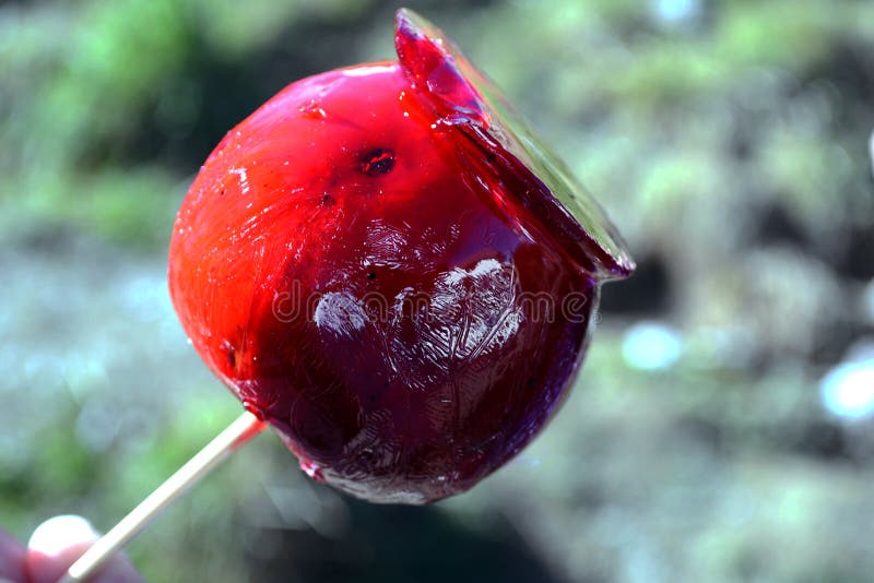 Glazed fruit on a stick stock image. Image of food, glaze - 30790041