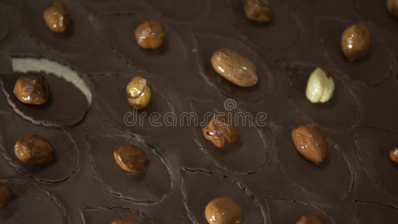 Glazed Hazelnuts on Chocolate Pastry Sheets Stock Footage - Video of ...