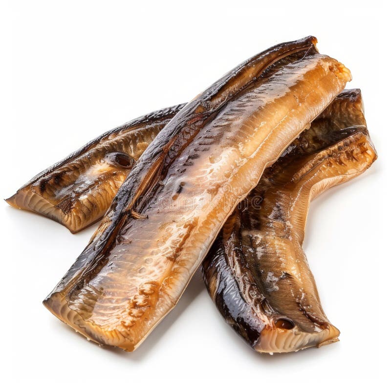 Glazed Smoked Eel Fillets on Clean White Background Stock Illustration ...