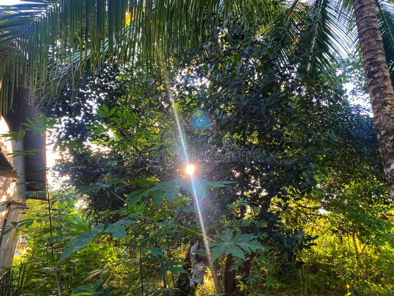 The gleam of sunlight stock photo. Image of penetrating - 298338428