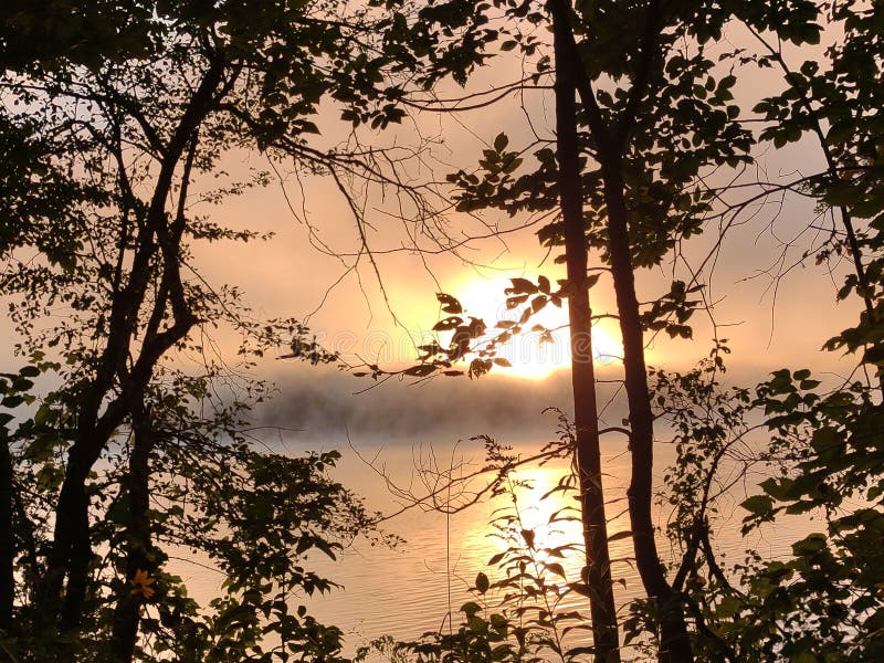 Gleaming sunshine sunrise stock image. Image of branch - 229322109