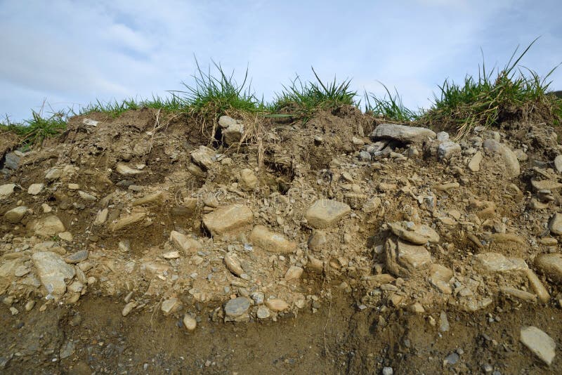 Glebowy profil zdjęcie stock. Obraz złożonej z ziemia - 32841080