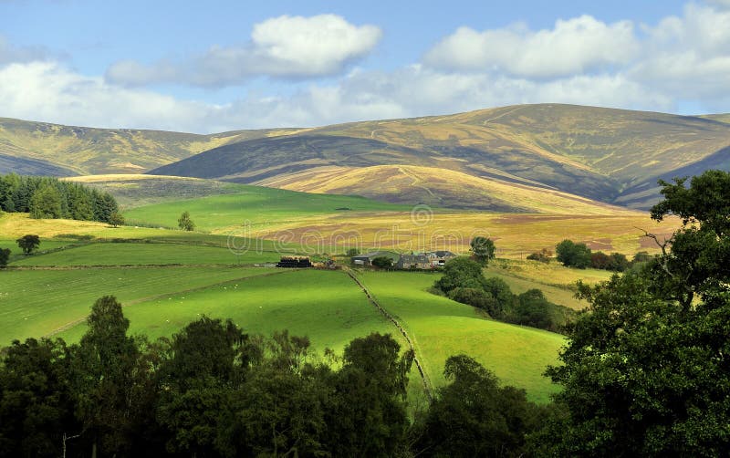 Glen Clova Landscape, Scotland Stock Image - Image of sheep, summer ...