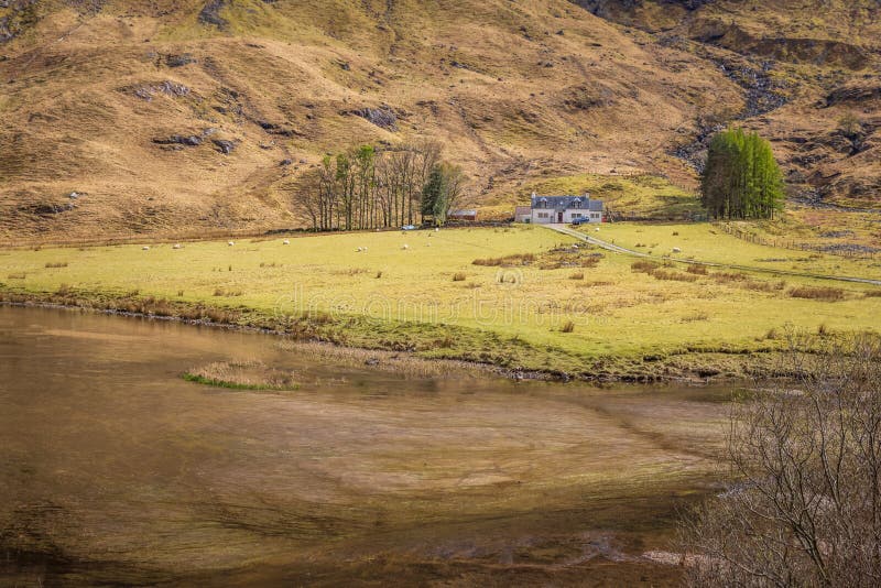 Glencoe stock image. Image of hill, britain, hiking - 239450295