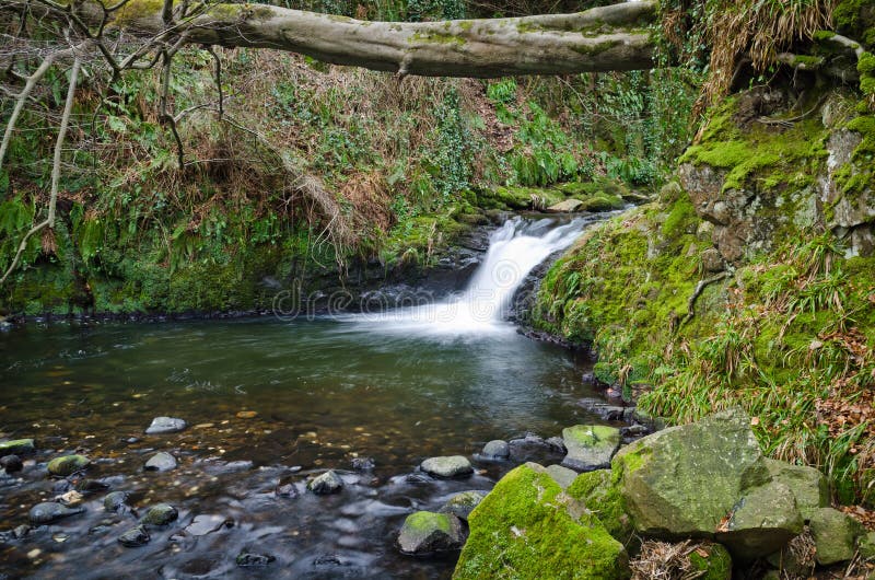 Glenoe Waterfall stock photo. Image of stream, rustic - 18086864