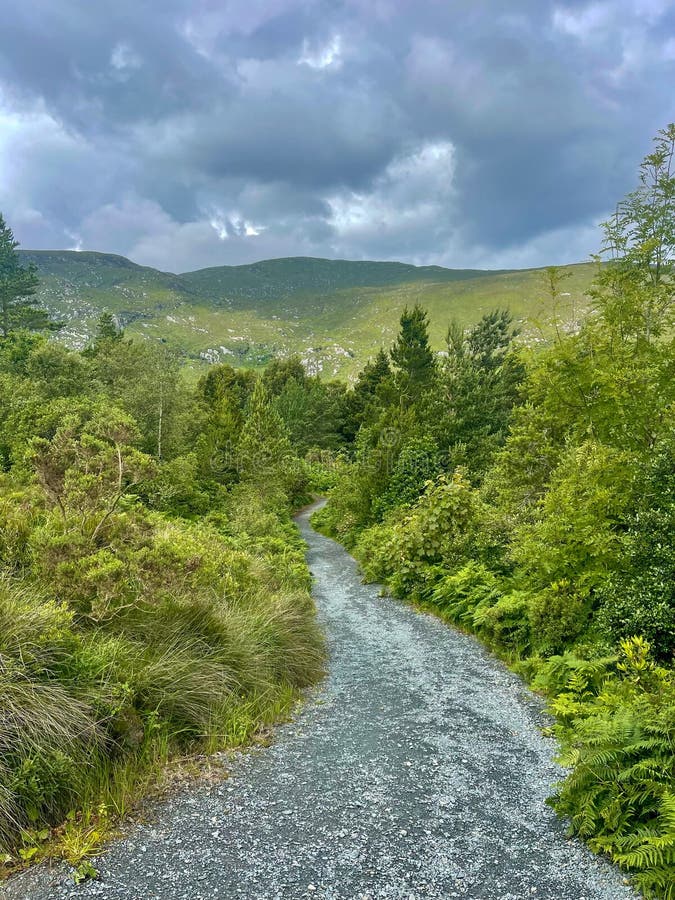 Glenveagh National Park Lakeside Path Stock Image - Image of ocean ...