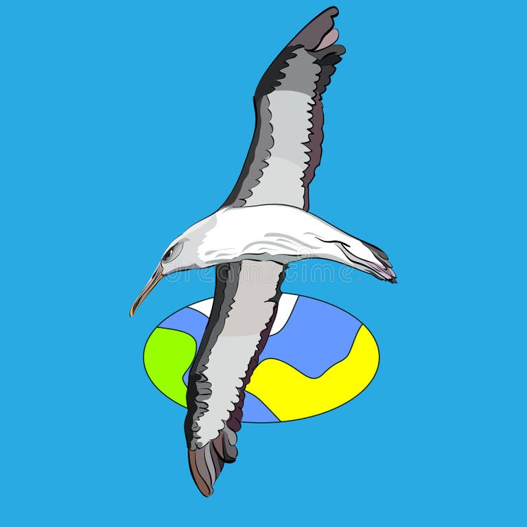 Gliding bird stock vector. Illustration of spread, seagull - 71458218