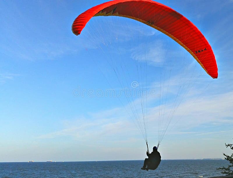 Gliding over Ocean editorial photography. Image of gliding - 44605362